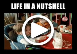 Life in a nutshell - Wititudes